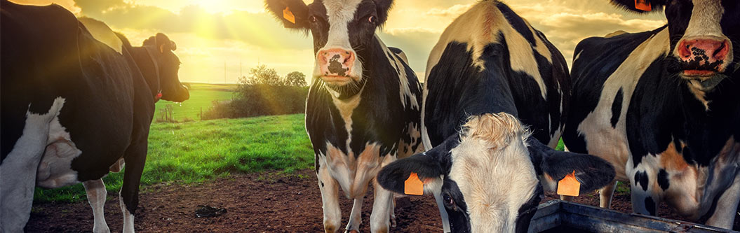 PREVENT WATER SCARCITY FROM BECOMING JOB SCARCITY - Master Meter